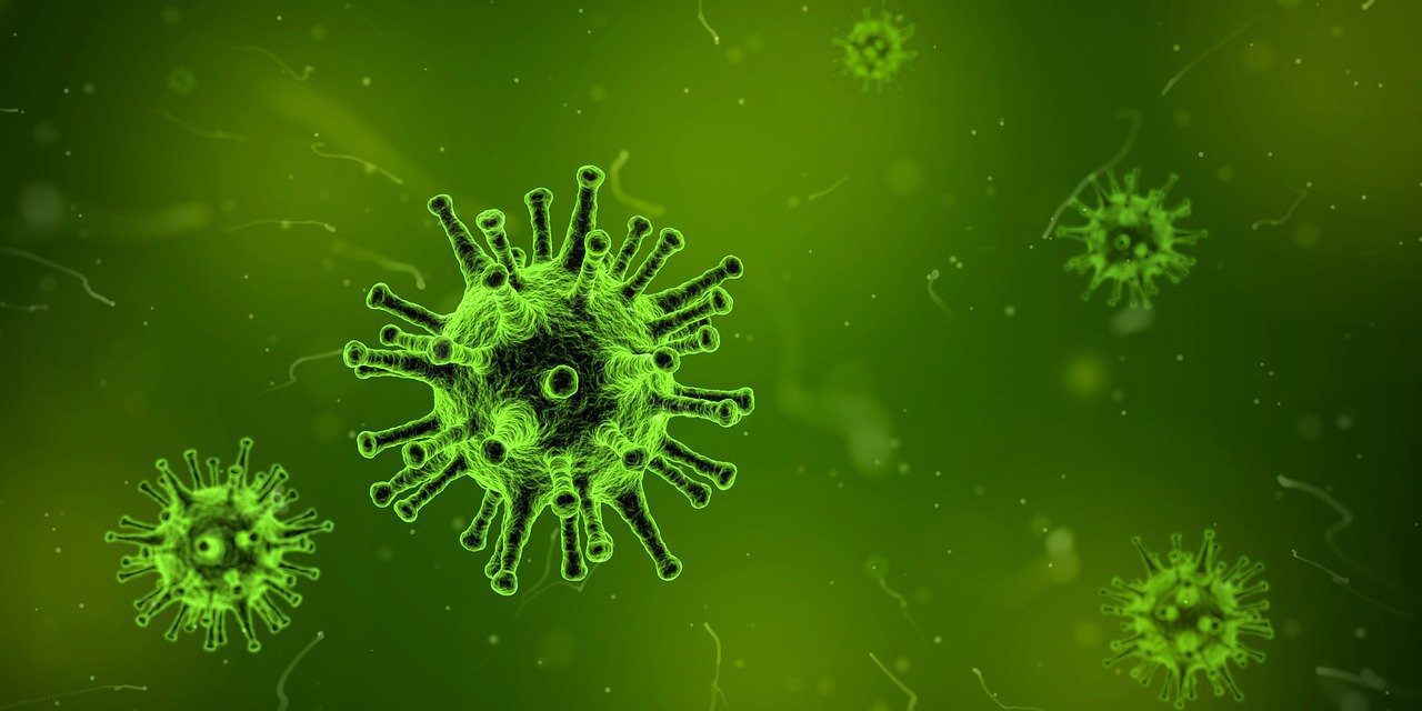 Good Bacteria vs. Bad Bacteria: What's the Difference? | Auxo Medical